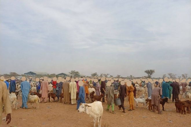 Niger : un mouton vendu 345 000 FCFA au marché de Matamèye - Journal du ...
